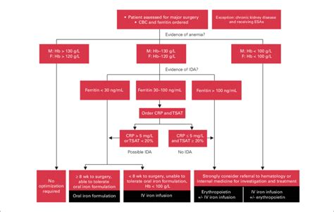 Image result for Algorithm for Anemia Work Up