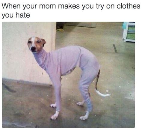 Image result for Downloading File Meme