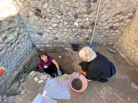 Image result for Sisel Tolas Work