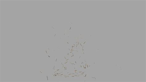 Image result for Exploding Wood Chuck