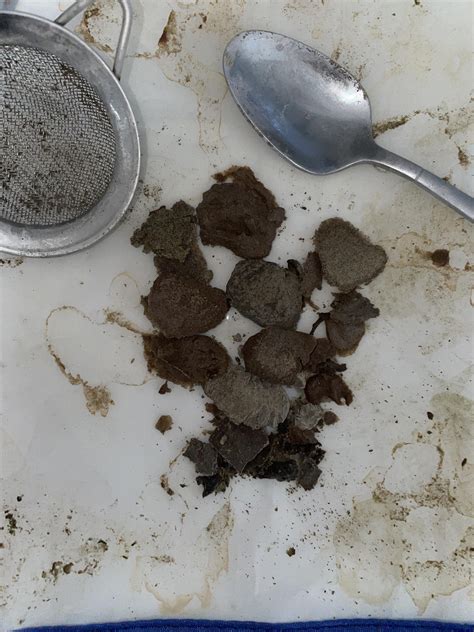 Image result for Drying Out Bubble Hash