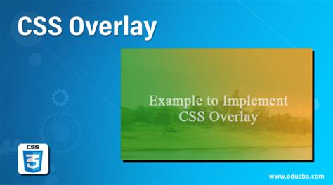 Image result for Overlayed Input CSS