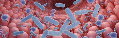 Image result for Microbial Ecology