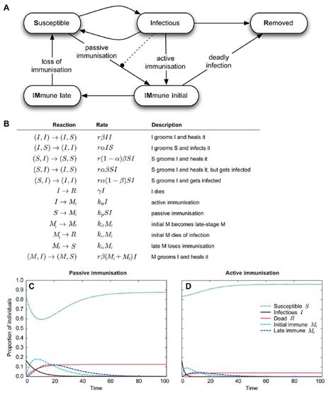 Image result for Additive Interaction Model