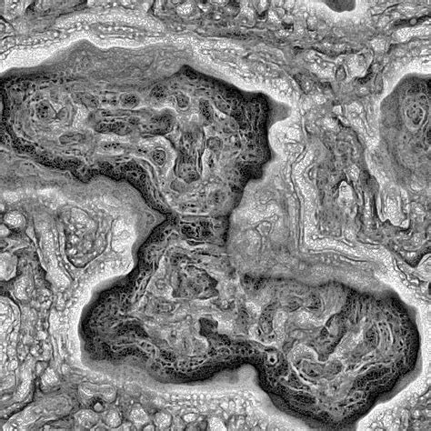 Image result for +Turingpattern