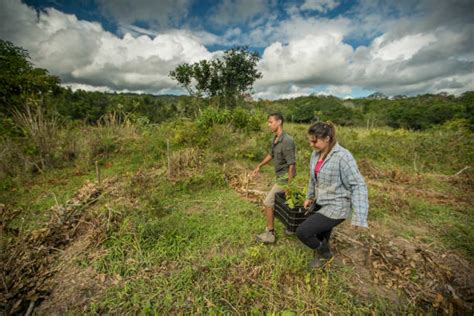 Image result for Amazon Forest Humans