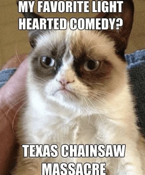 Image result for Grumpy Cat Memes Clean