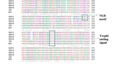 Image result for Envelope Sequence Alignment
