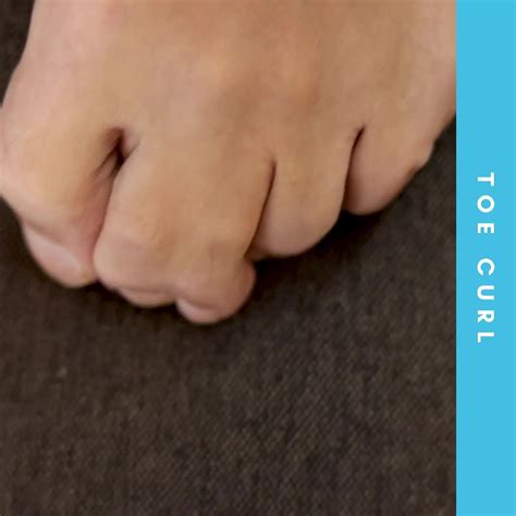 Image result for Toe Curls Exercise