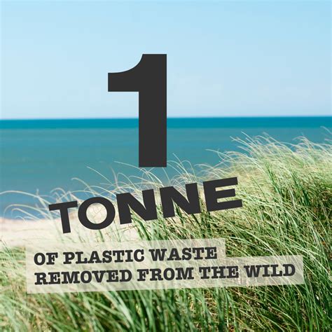 Image result for Problematic Clean