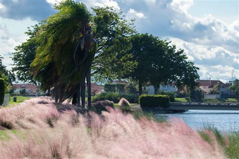 Image result for Golf Course Grounds Manager