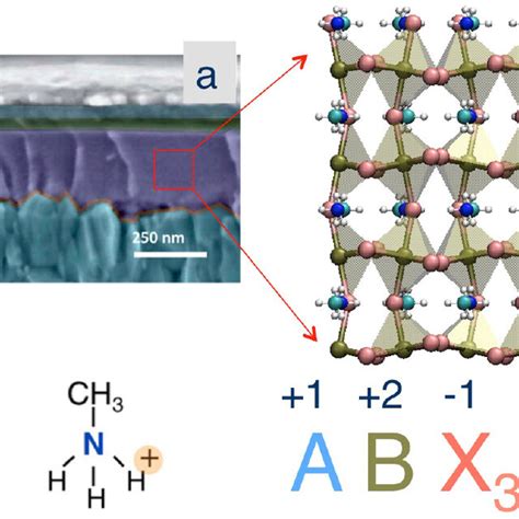 Image result for MAPI Structure