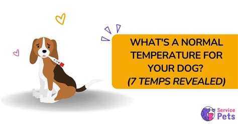 Image result for Dogs Normal Temp