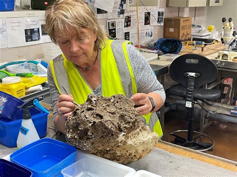 Image result for Catching Prawns