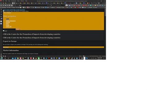 Image result for Website Not Loading Properly