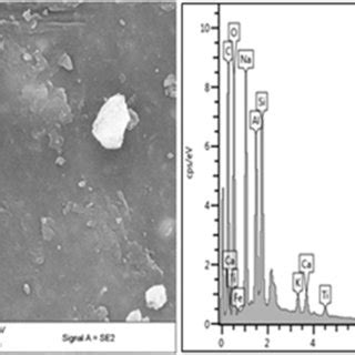 Image result for Humic Acid Sem