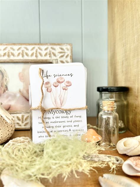 Image result for Science Flash Cards Printable