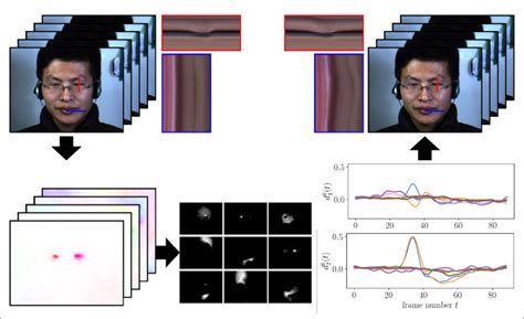 Image result for Motion Magnification