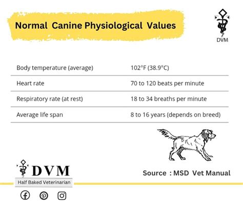 Image result for Normal Heart Rate Dog