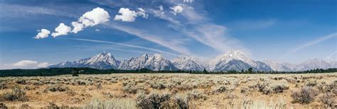 Image result for Simple Client/Server Program in Python