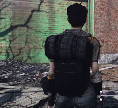 Image result for Fallout 4 Backpack