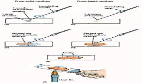 Image result for Smear Speed Tutorials