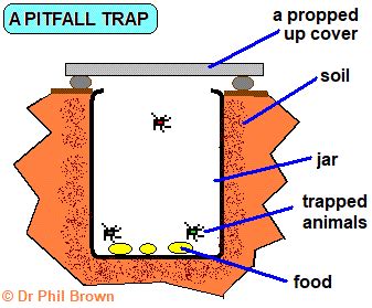 Image result for Sampling Methods Biology