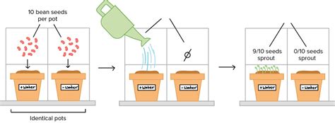 Scientific Method Diagram | Quizlet