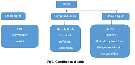 Image result for Total Lipid Calculation Formula