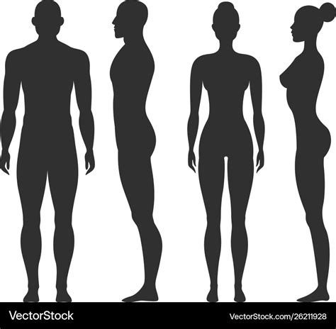 Image result for Side View Human