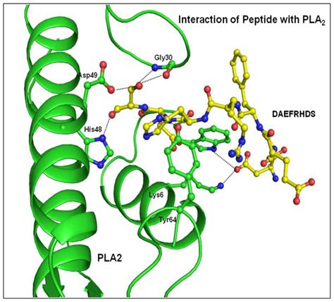 Image result for ASP Structure