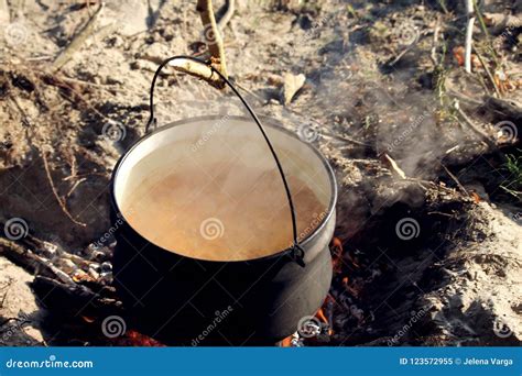 Image result for How to Cook Beans Outside