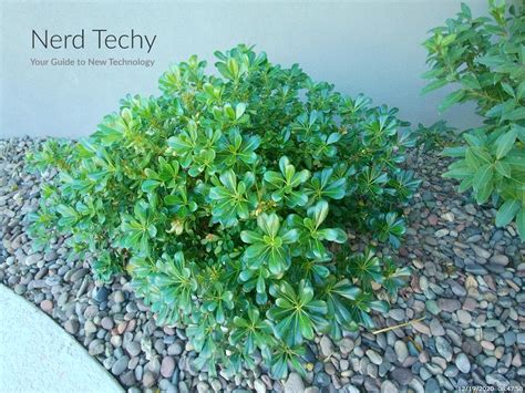 Image result for Akaso Keychain Camera