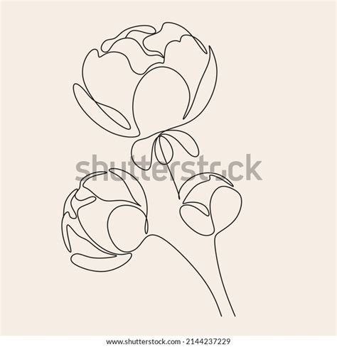 Line Art Flowers Botanical Line Drawings Stock Vector (Royalty Free ...