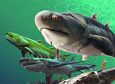 Image result for Human Evolution in Water Fish