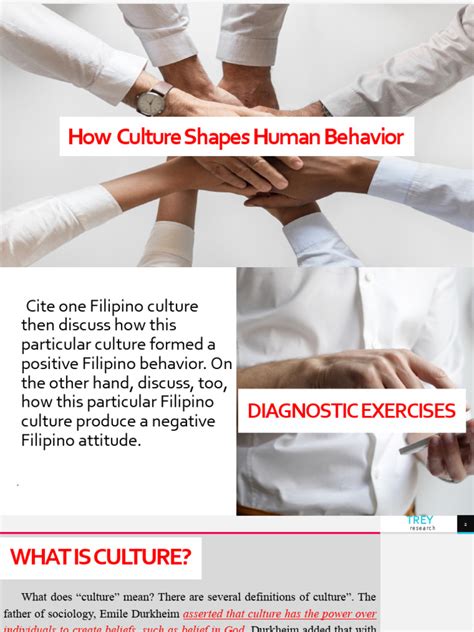 How Culture Shapes Human Behavior | PDF | Knowledge | Behavior