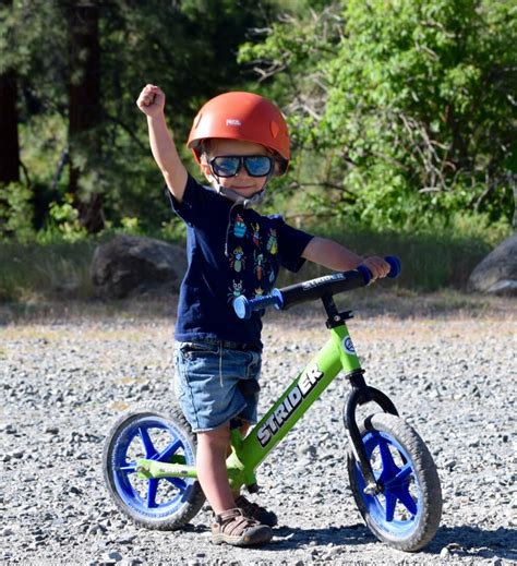 Image result for Strider Tree Gear