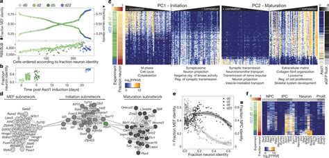 Image result for Direct Reprogramming