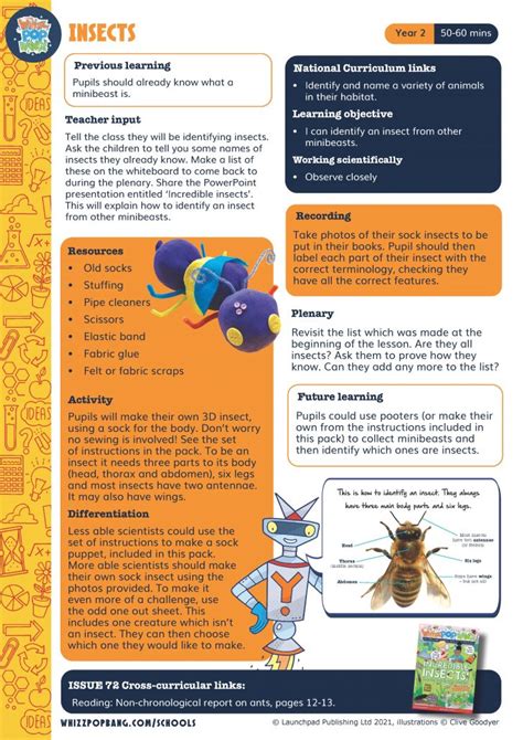 Image result for Insects Lessons