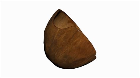 Image result for Coconut Shell Models