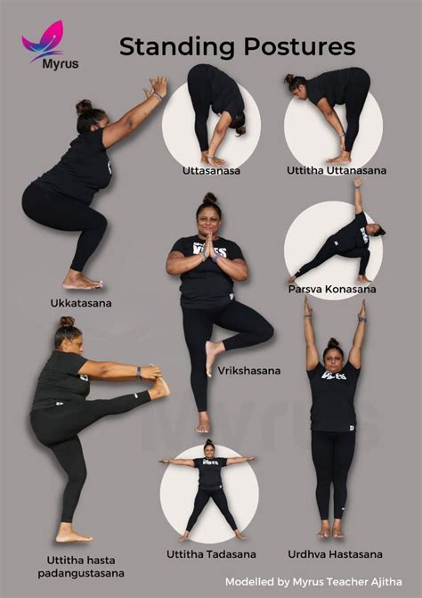 Image result for Exercise Positions