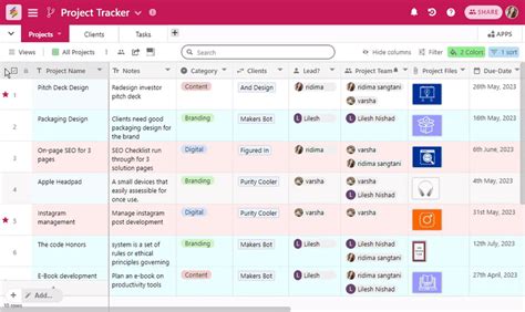 Image result for Project Tracker Visualisation