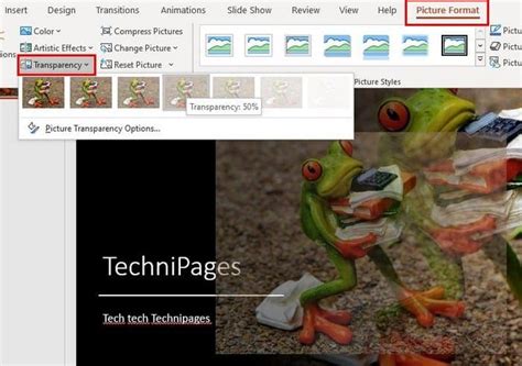 Image result for Set Transparent Color in PowerPoint Single Color in Picture
