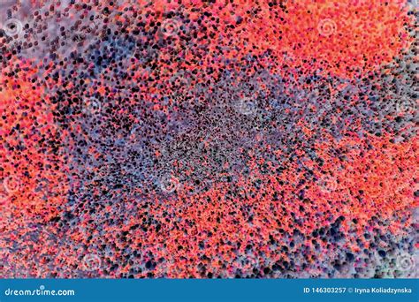 Bacteria Under The Microscope Background Stock Image | CartoonDealer ...