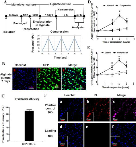 Image result for HyperStudy Design of Experiments