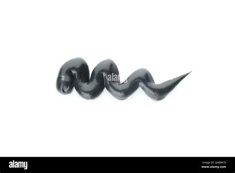 Image result for Toothpaste No Background