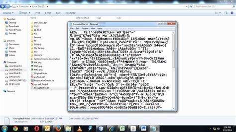 Image result for Decrypted File