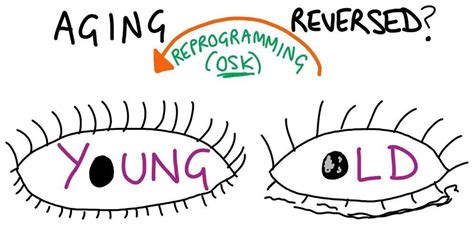 Image result for Reprogramming Aging