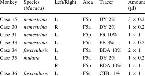Image result for Injection Monkey