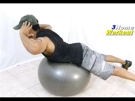 Image result for Exercise Ball Lower Back Exercises